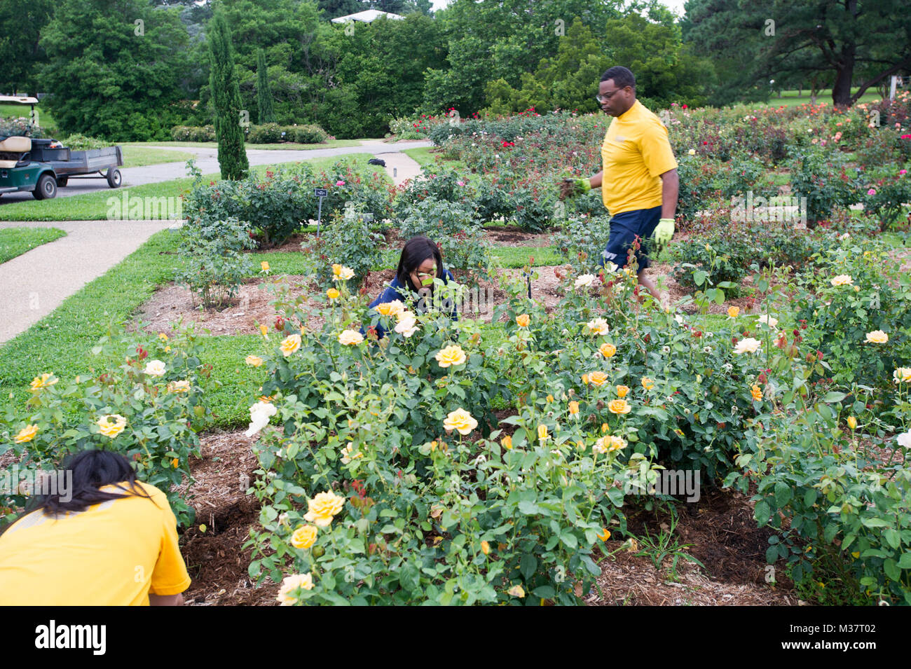 Chiefs and First Class Petty Officers participate in Community ...