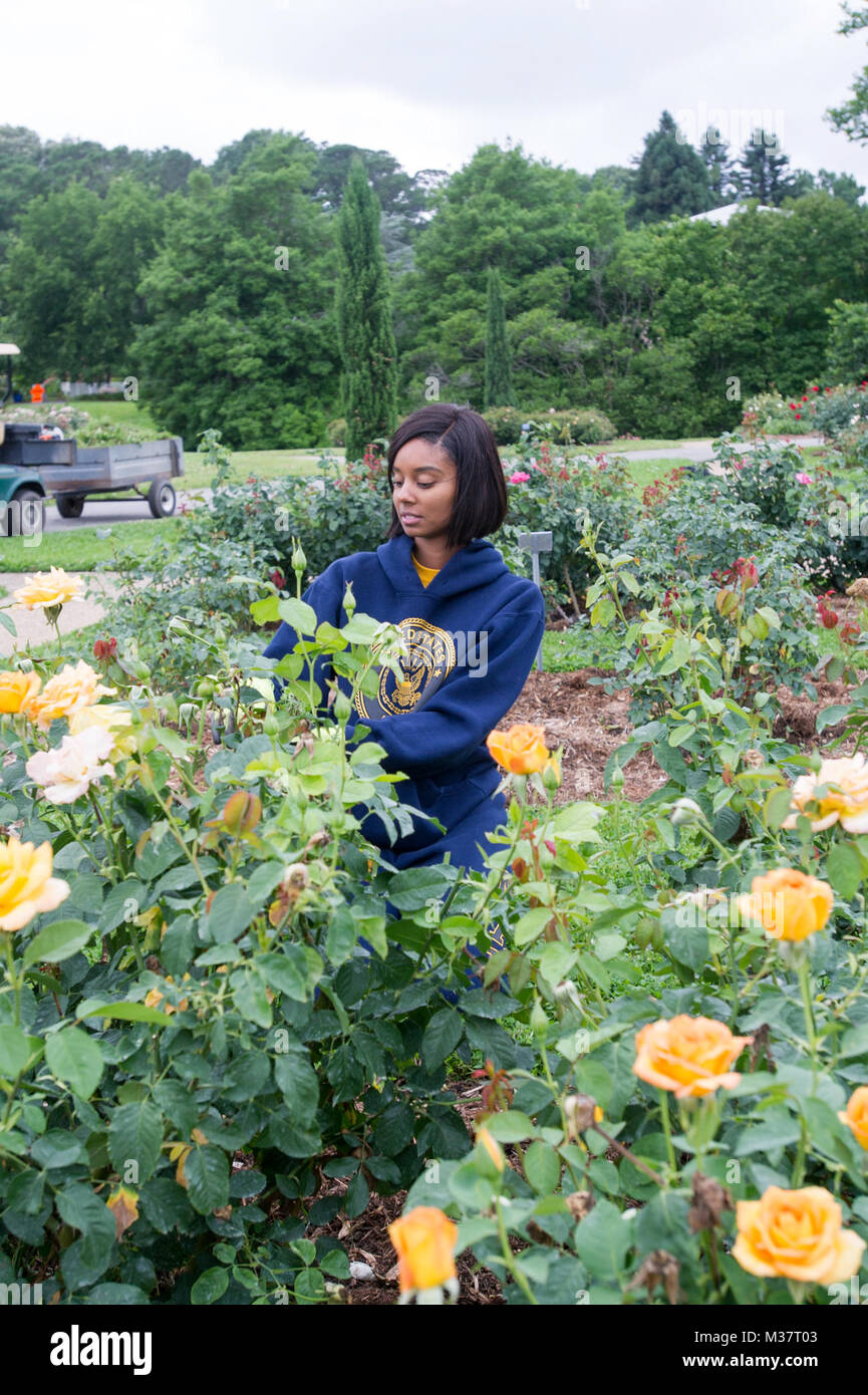 Chiefs and First Class Petty Officers participate in Community ...