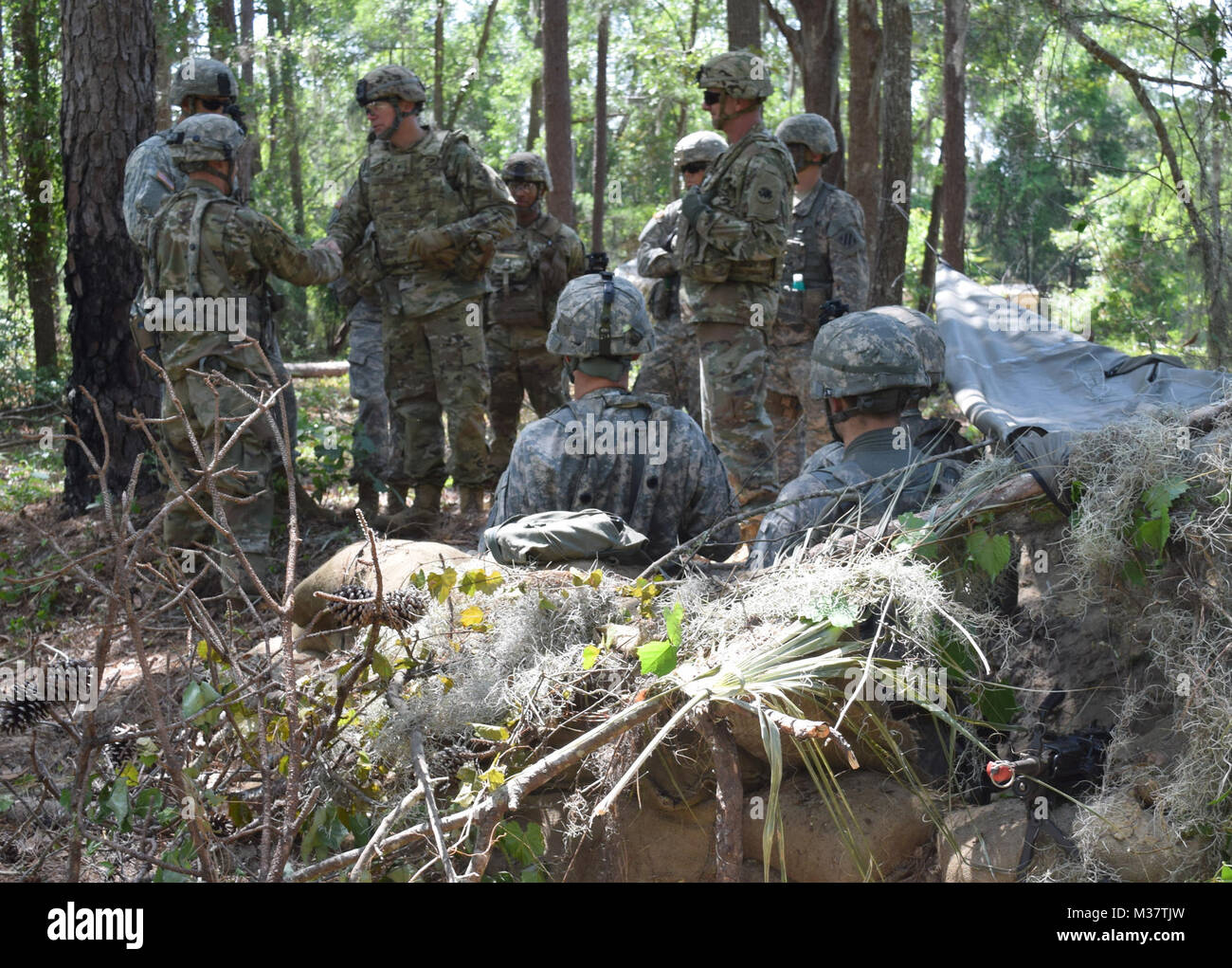 FORT STEWART, Ga., June 13, 2017 – Brigadier General Tom Carden ...