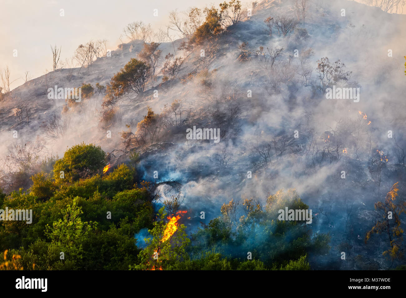 Burnt earth hi-res stock photography and images - Alamy