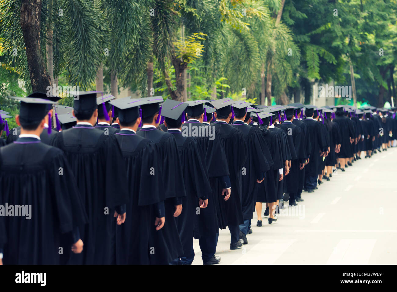 Back of graduates during commencement at university. Close up at ...