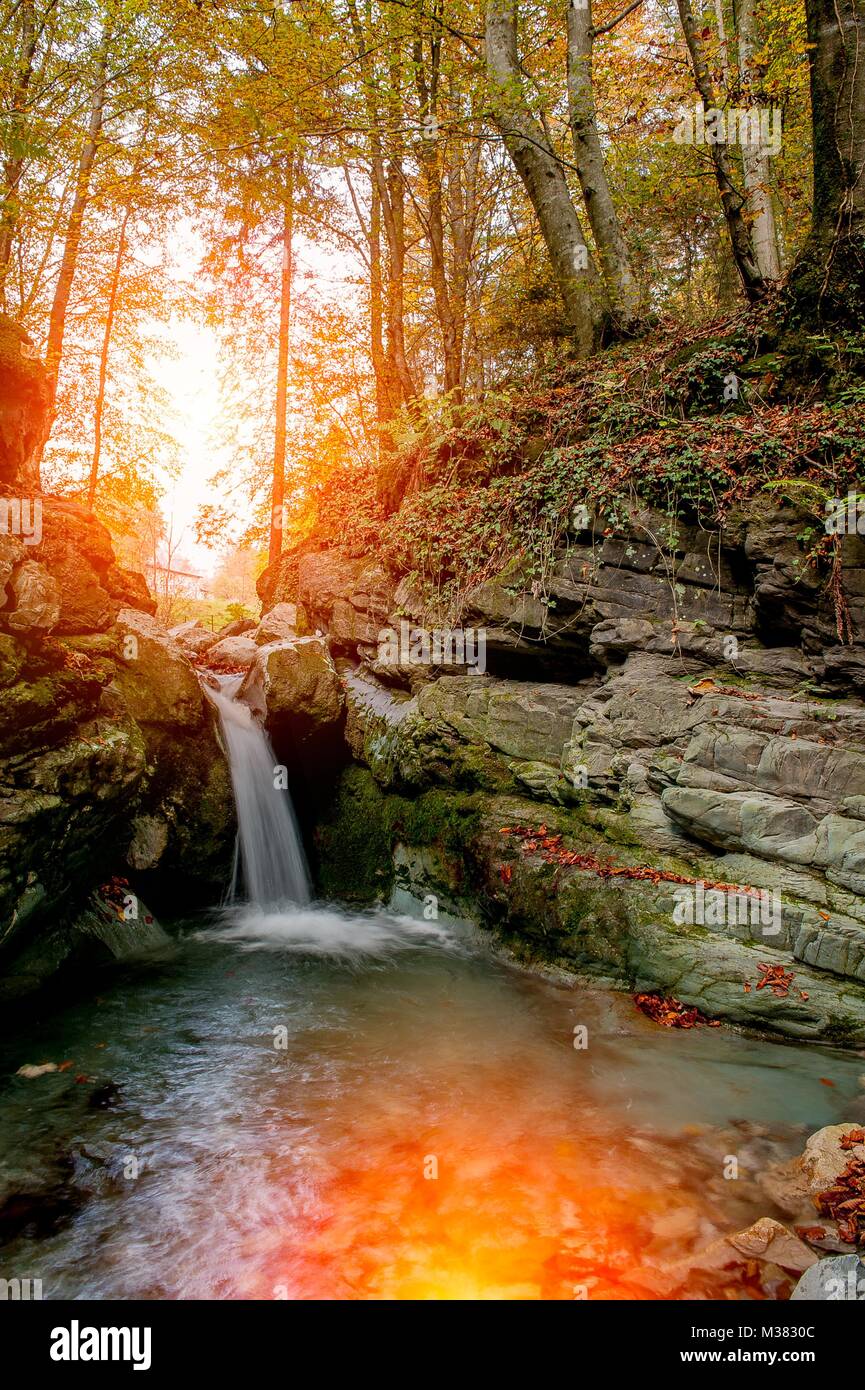 waterfall of river water in the forest in autumn Stock Photo - Alamy