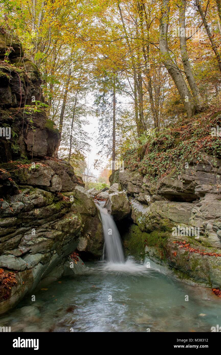 waterfall of river water in the forest in autumn Stock Photo - Alamy