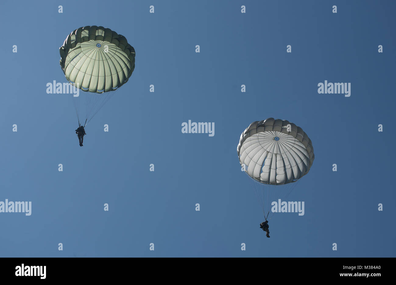 U.S. Army Soldiers from the 1st Special Operations Group descend together during parachute ...