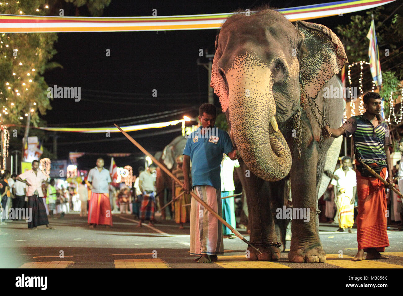 Elephant sarong hi-res stock photography and images - Alamy