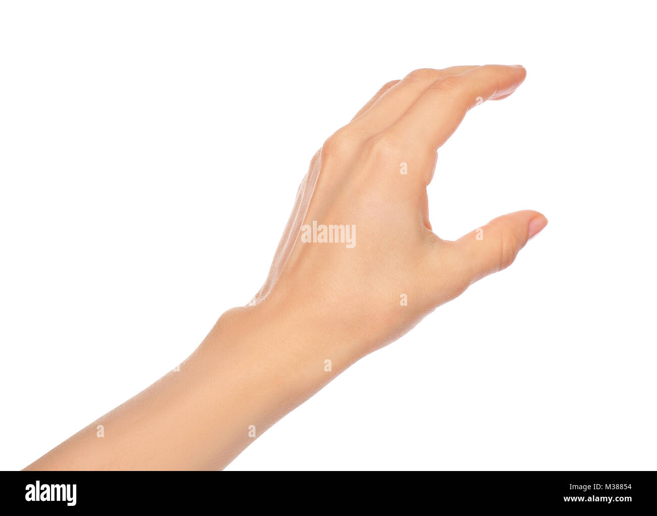 Woman hand on white background close-up Stock Photo - Alamy