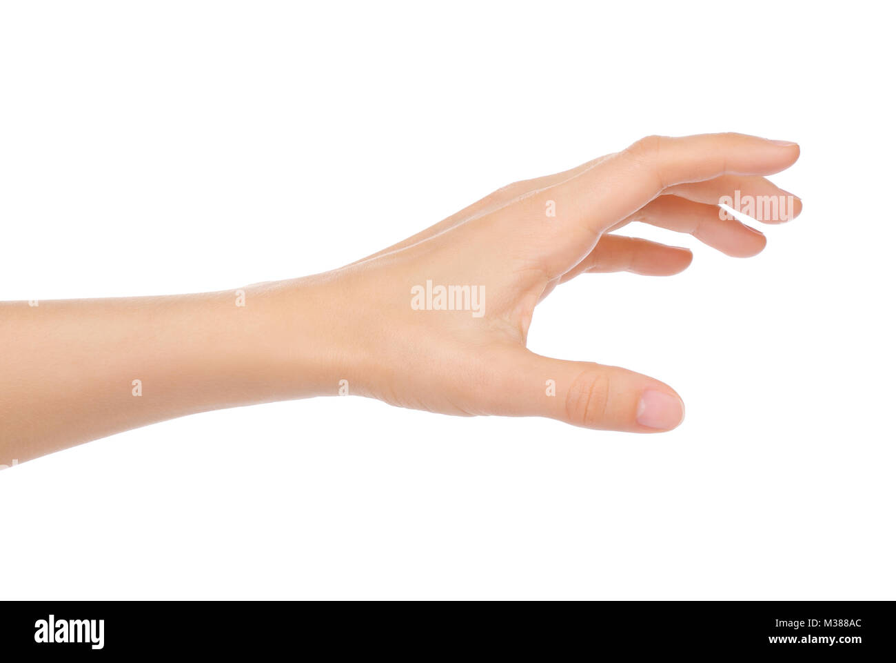 Woman hand on white background close-up Stock Photo - Alamy