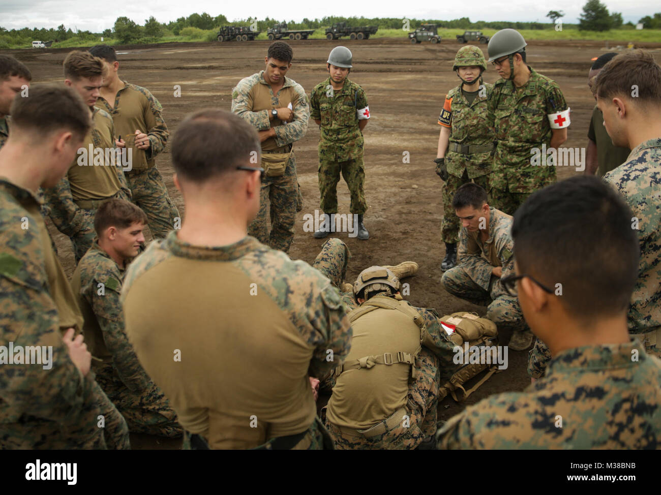 Marines and members of the Japanese Ground Self-Defense Force learn ...