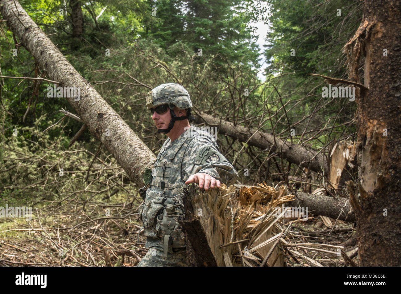 Abatis High Resolution Stock Photography and Images - Alamy