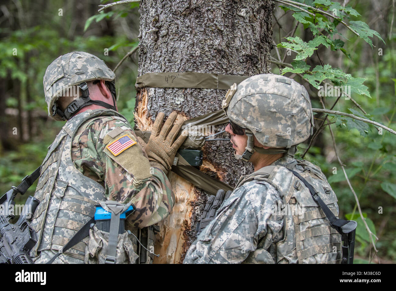 Abatis High Resolution Stock Photography and Images - Alamy