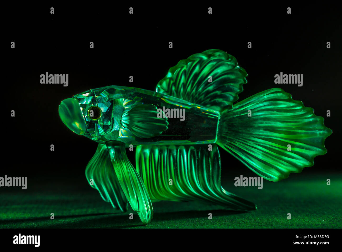 Glass fish figurine hi-res stock photography and images - Alamy