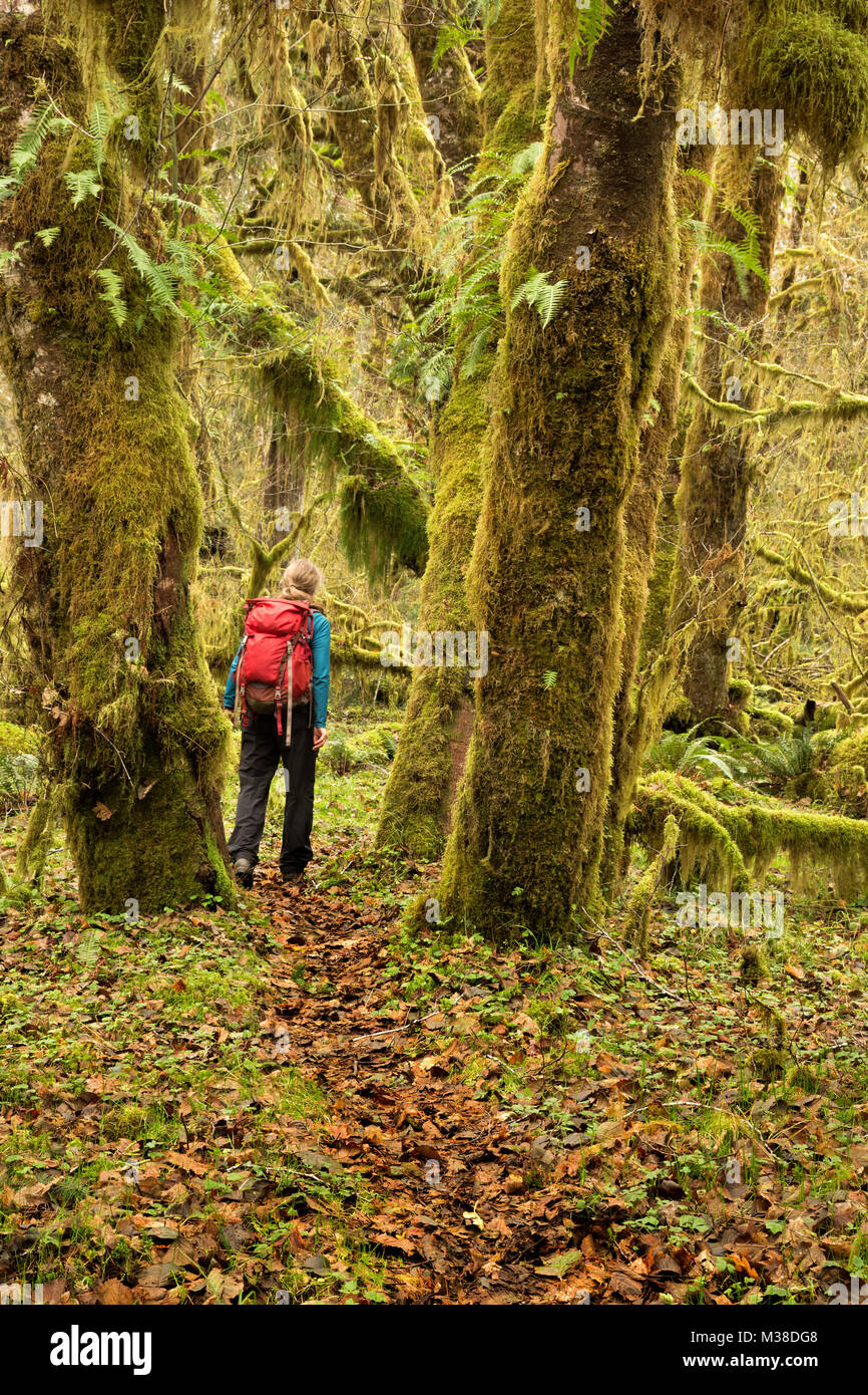 Queets campground loop hi-res stock photography and images - Alamy