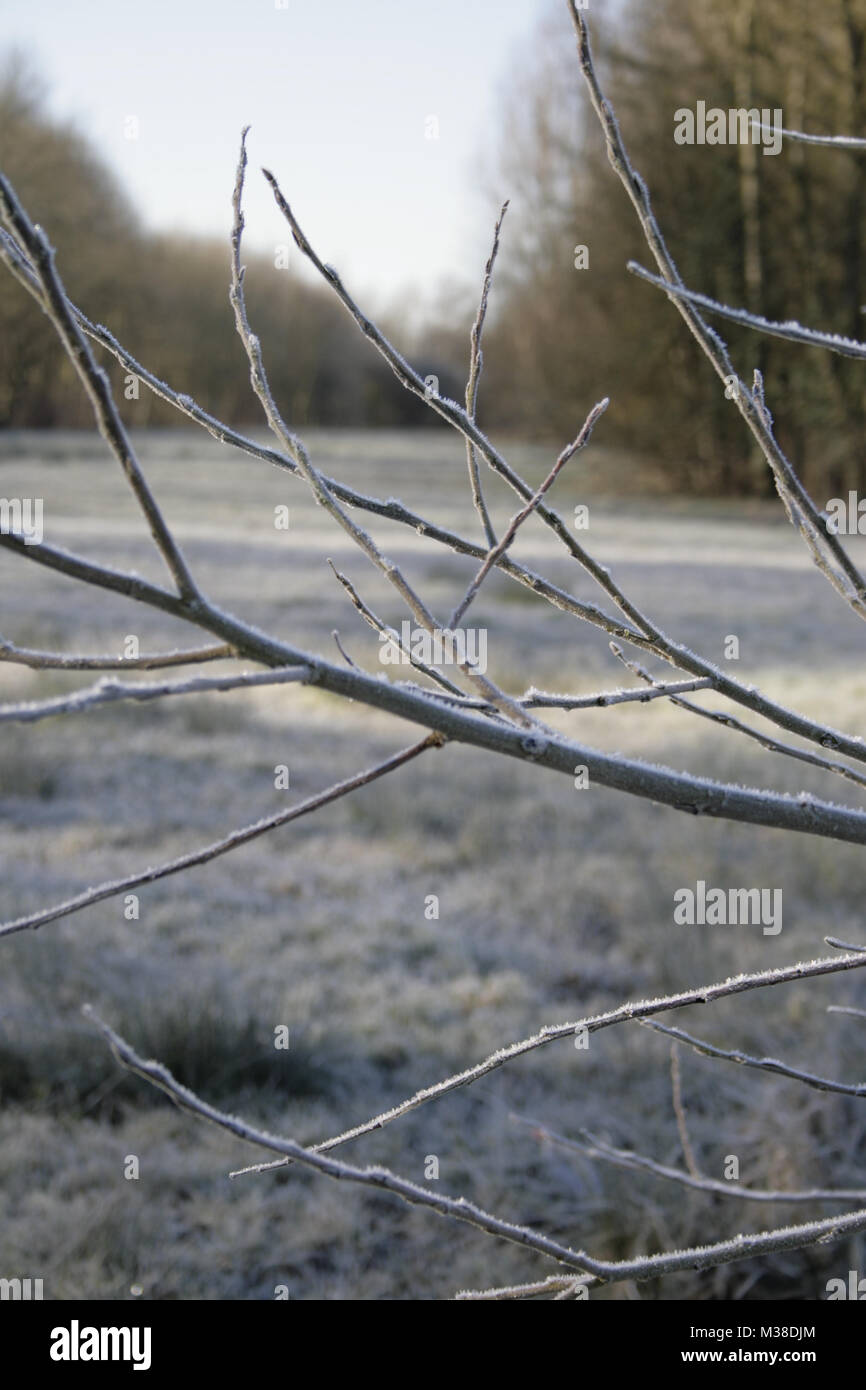 Long millgate hi-res stock photography and images - Alamy