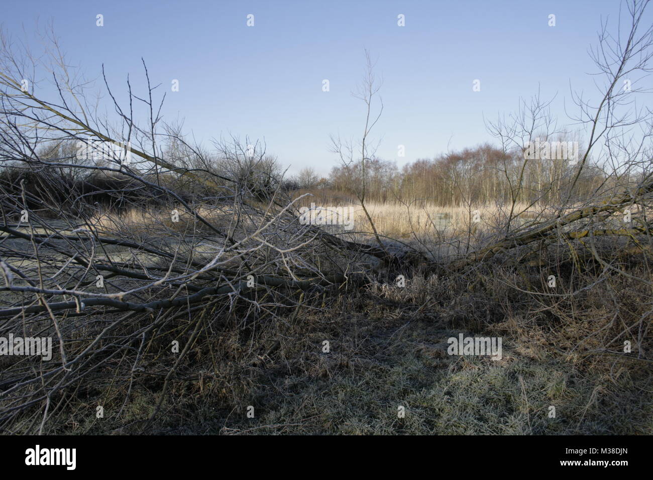 Long millgate hi-res stock photography and images - Alamy