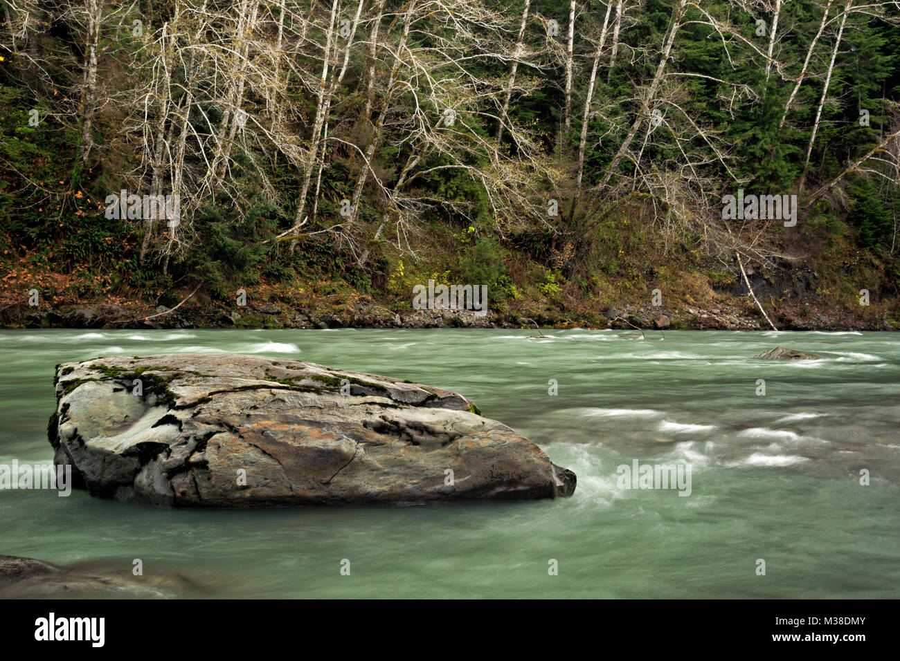 Queets campground loop hi-res stock photography and images - Alamy