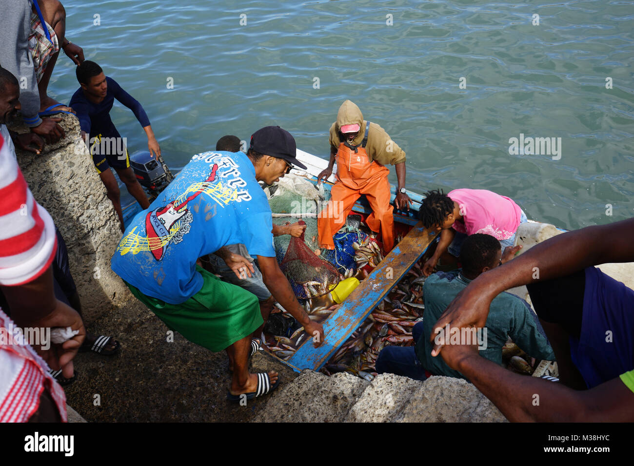 Fishermen bringing Fish to the Fish Market in Mindelo Stock Photo - Alamy