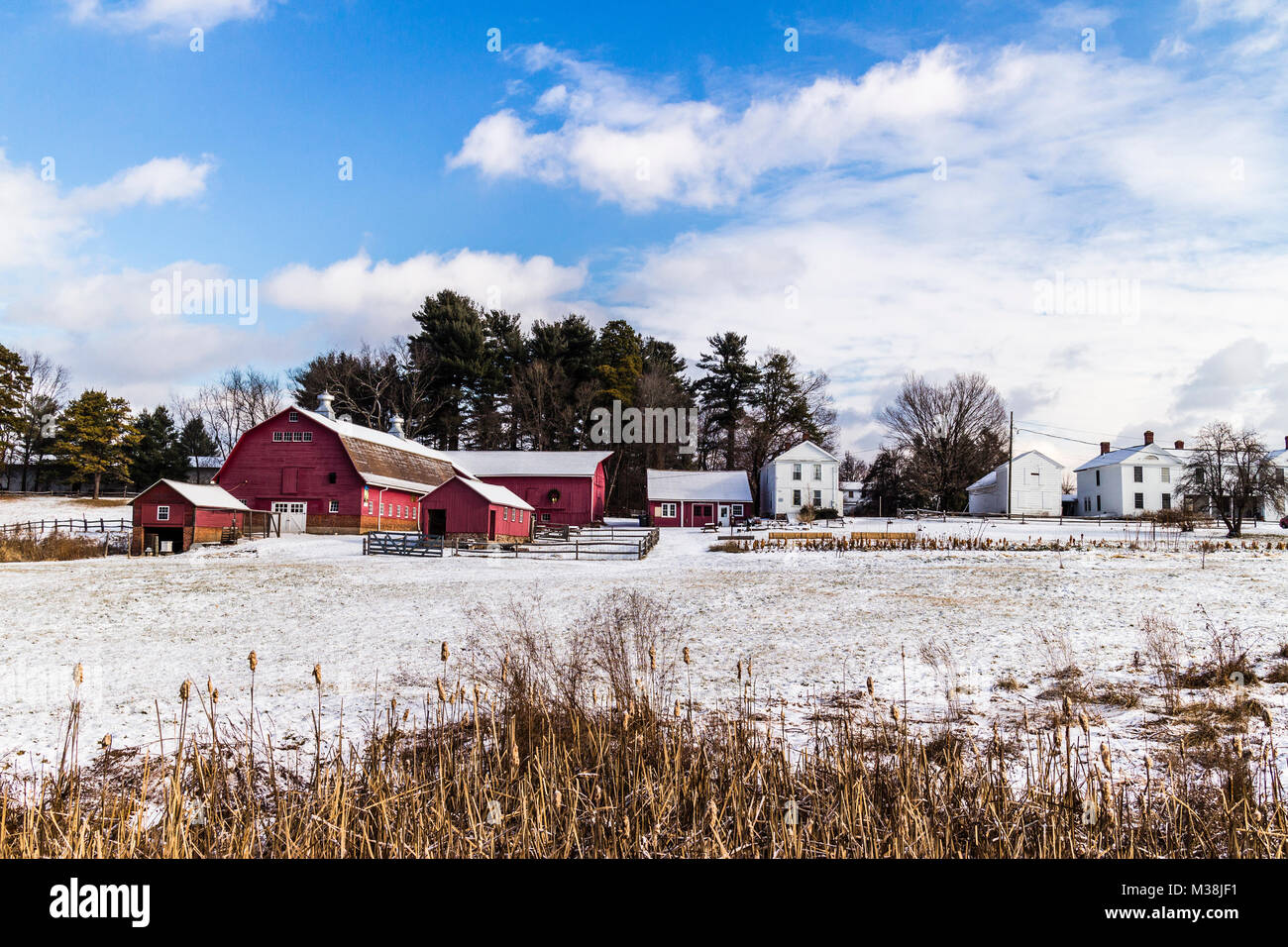 Community Farm of Simsbury Simsbury, Connecticut, USA Stock Photo - Alamy