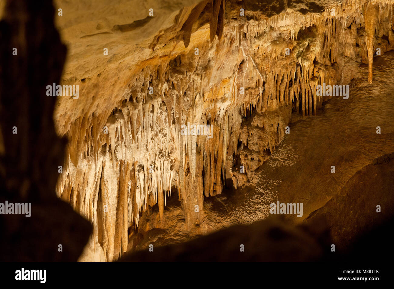 Caves of Drach with many stalagmites and stalactites. Majorca, Spain ...