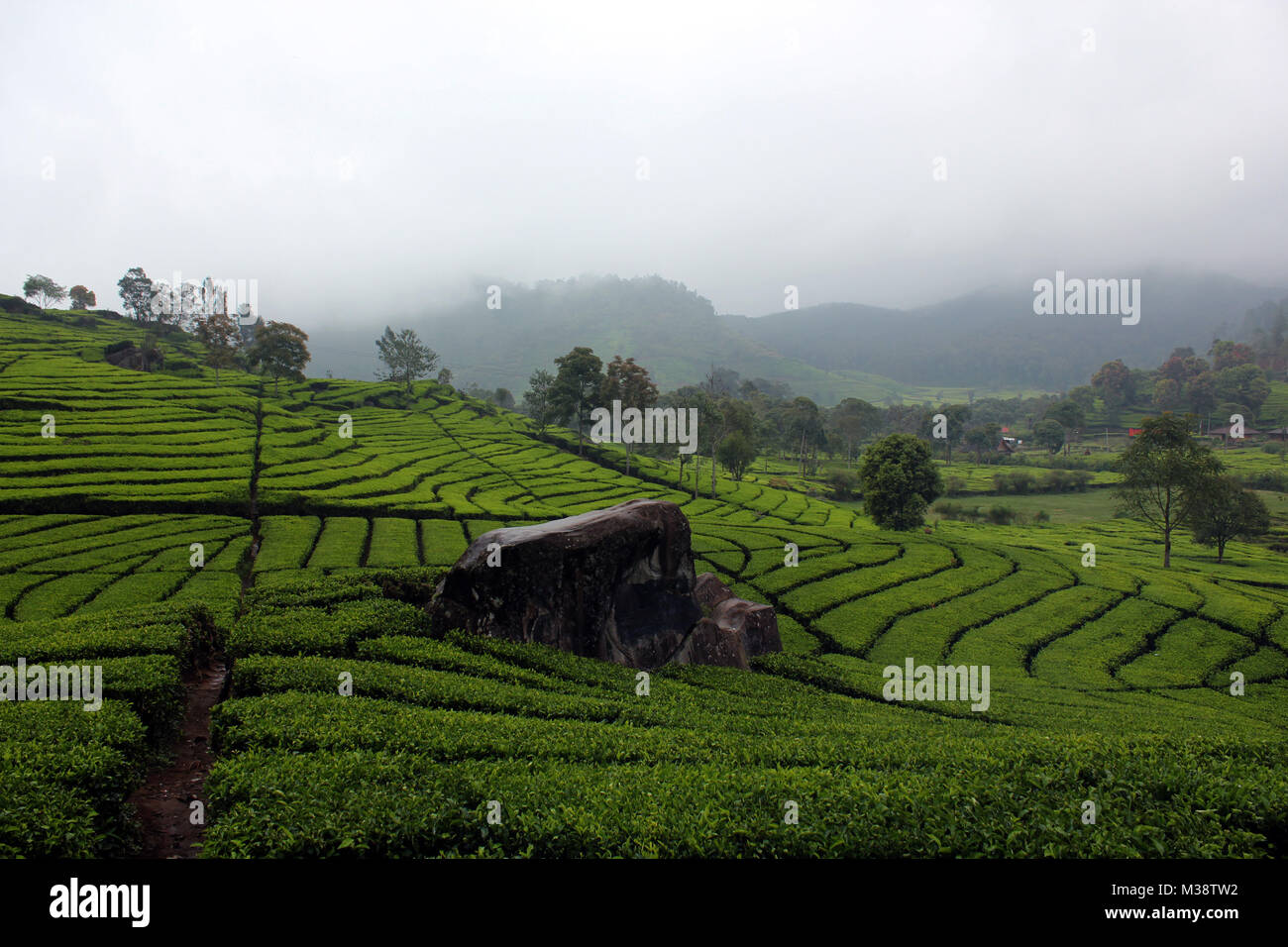 Jawa barat hi-res stock photography and images - Alamy