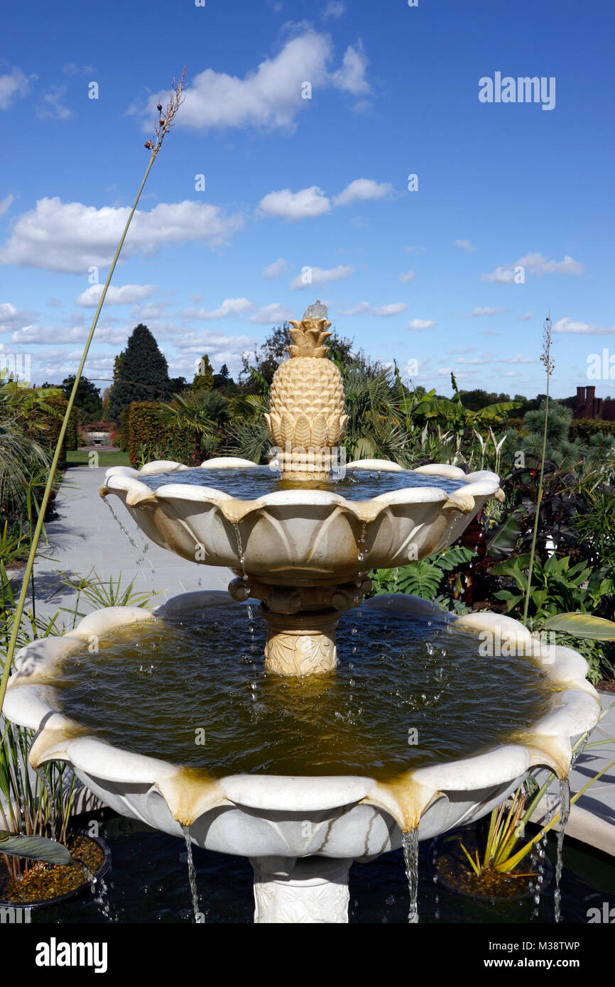 RHS WISLEY EXOTIC GARDEN WATER FEATURE. UK Stock Photo - Alamy