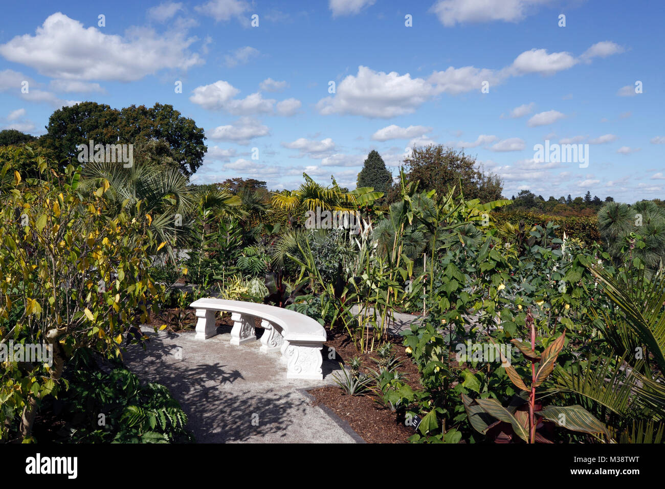 RHS WISLEY EXOTIC GARDEN Stock Photo - Alamy