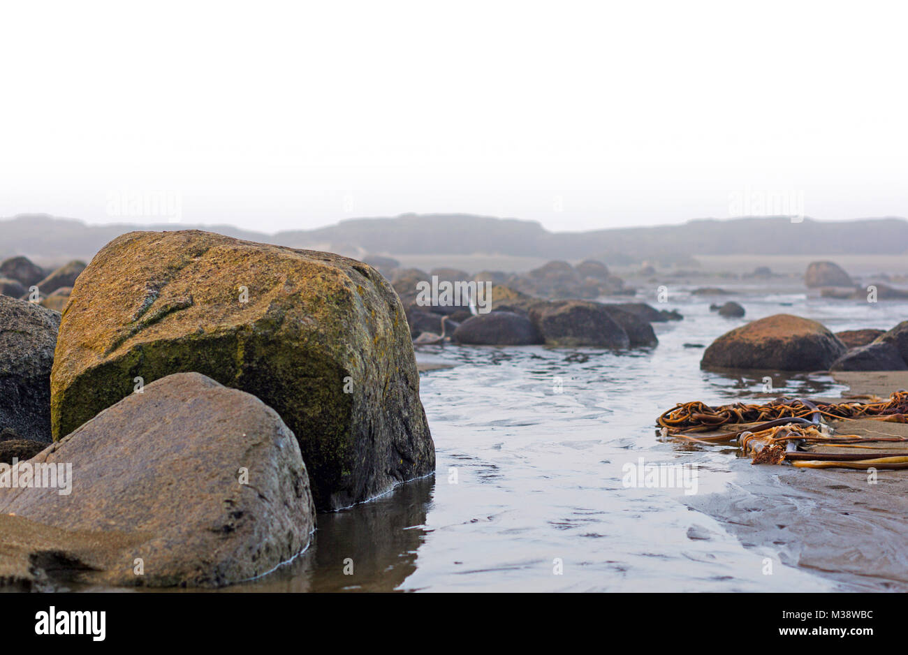 Rocks during low tide on beach Stock Photo - Alamy