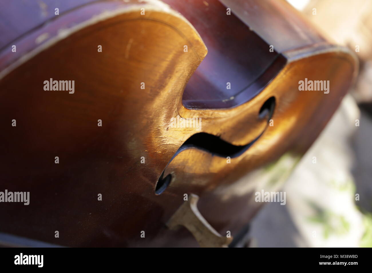 Classical violin black white hi-res stock photography and images - Alamy