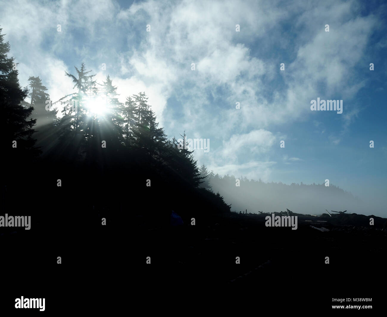 West coast trail hi-res stock photography and images - Alamy