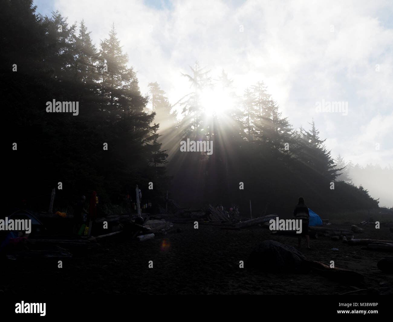 West coast trail hi-res stock photography and images - Alamy