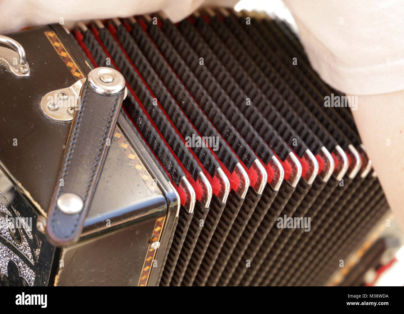 close up of an accordion Stock Photo - Alamy