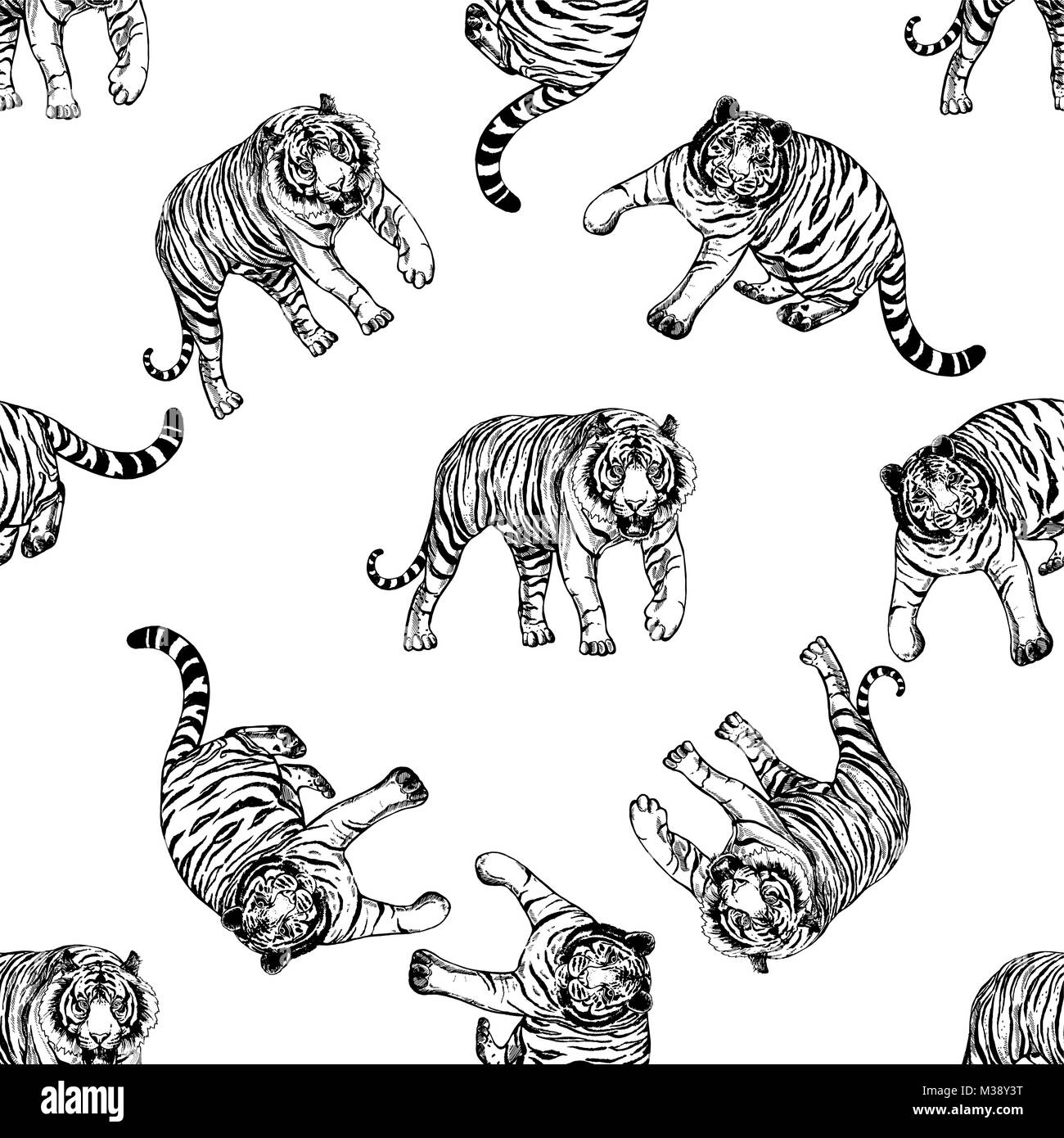 Seamless pattern of hand drawn sketch style tigers. Vector illustration ...