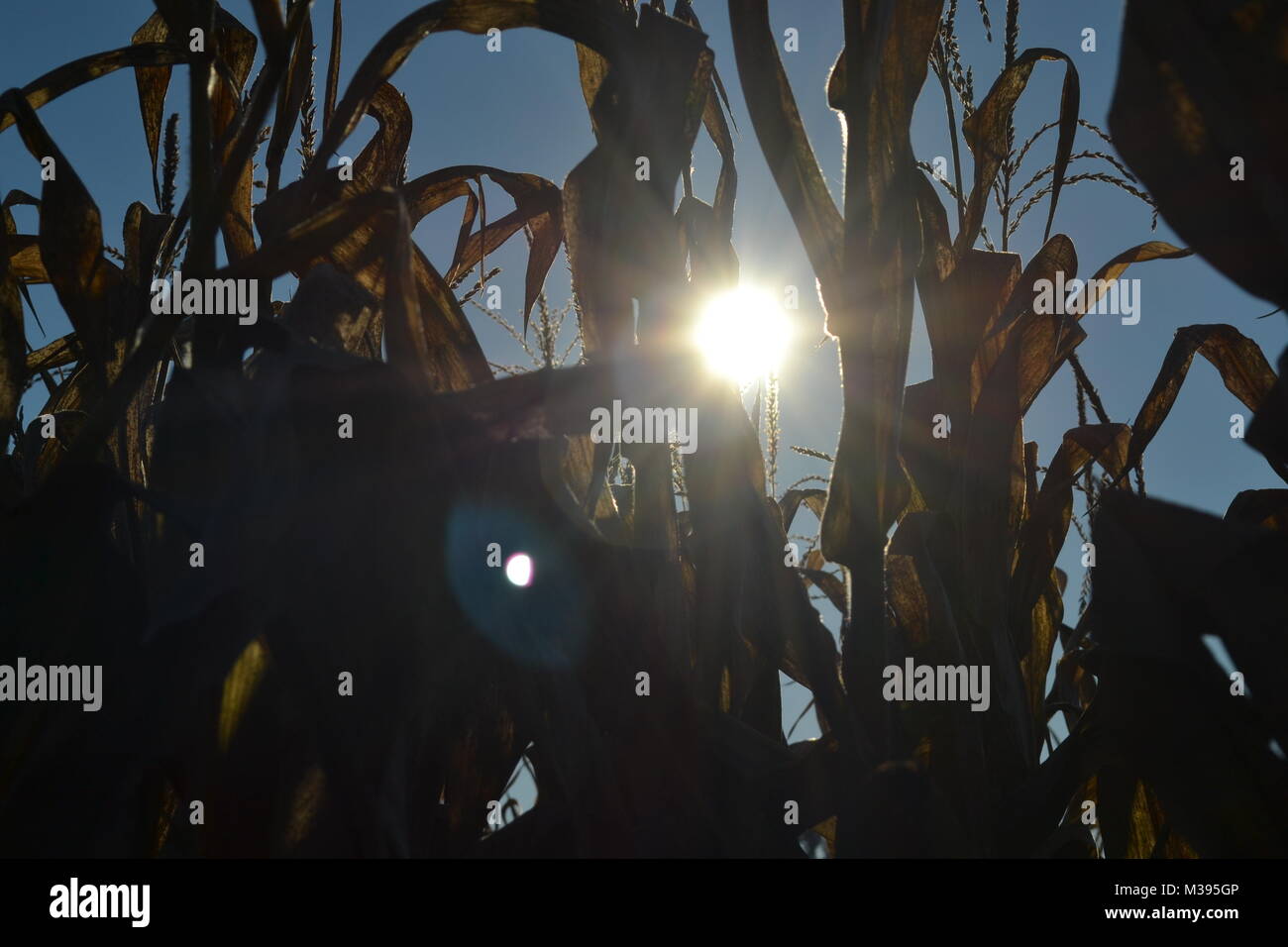Sky natural beauty hi-res stock photography and images - Alamy