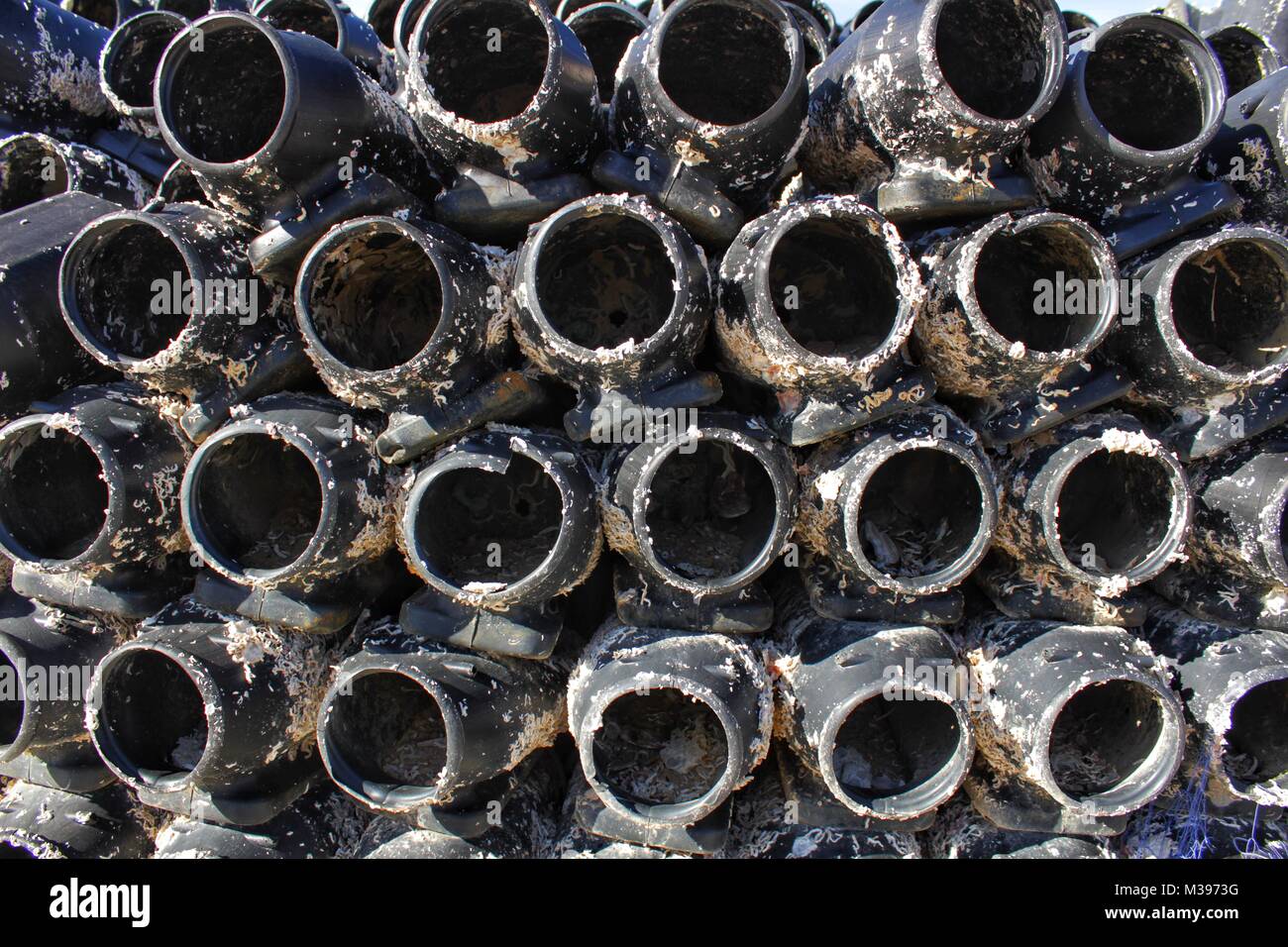 Octopus nets hi-res stock photography and images - Alamy