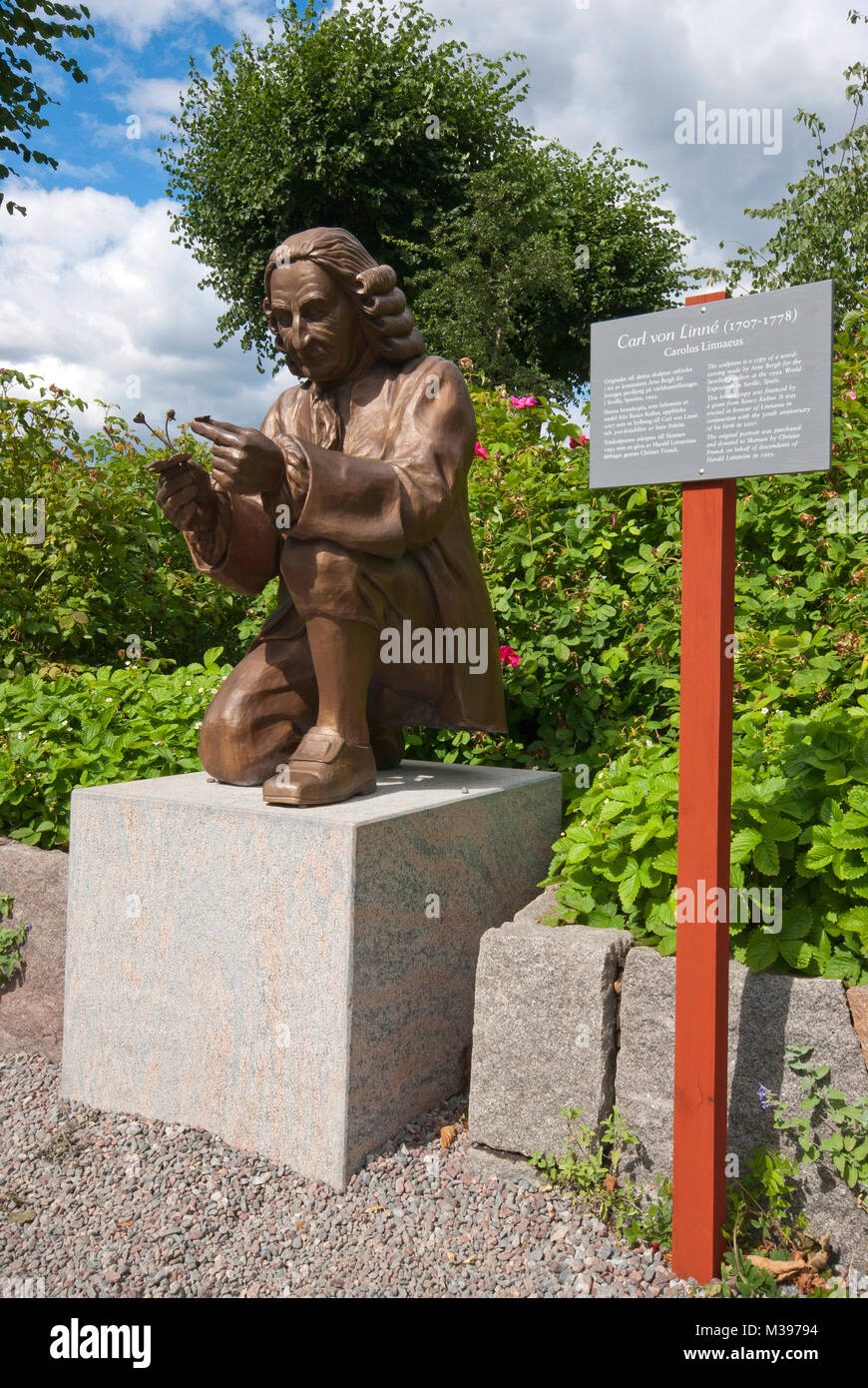 Carlo linneo hi-res stock photography and images - Alamy