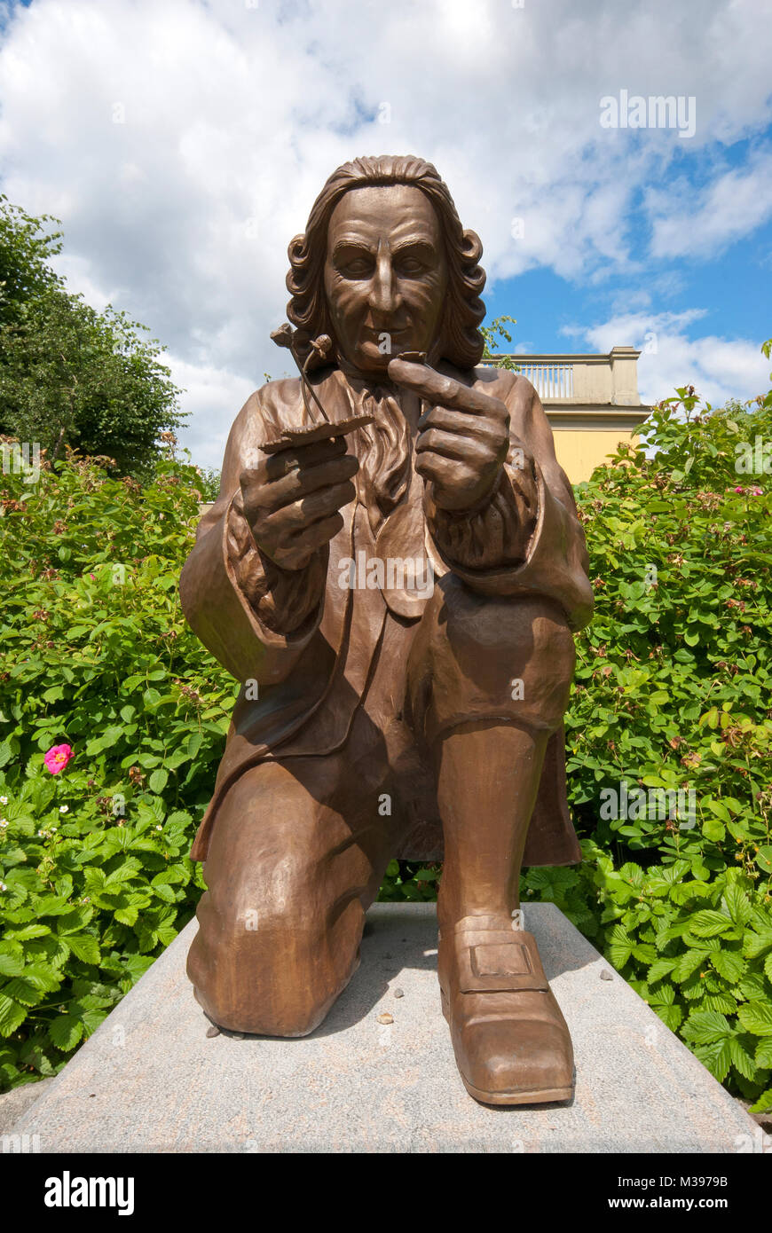 Statue of carl linnaeus hi-res stock photography and images - Alamy