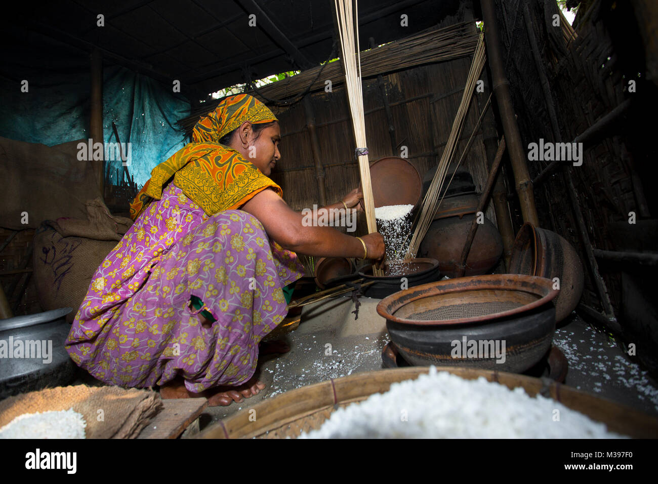 Binni dhan hi-res stock photography and images - Alamy