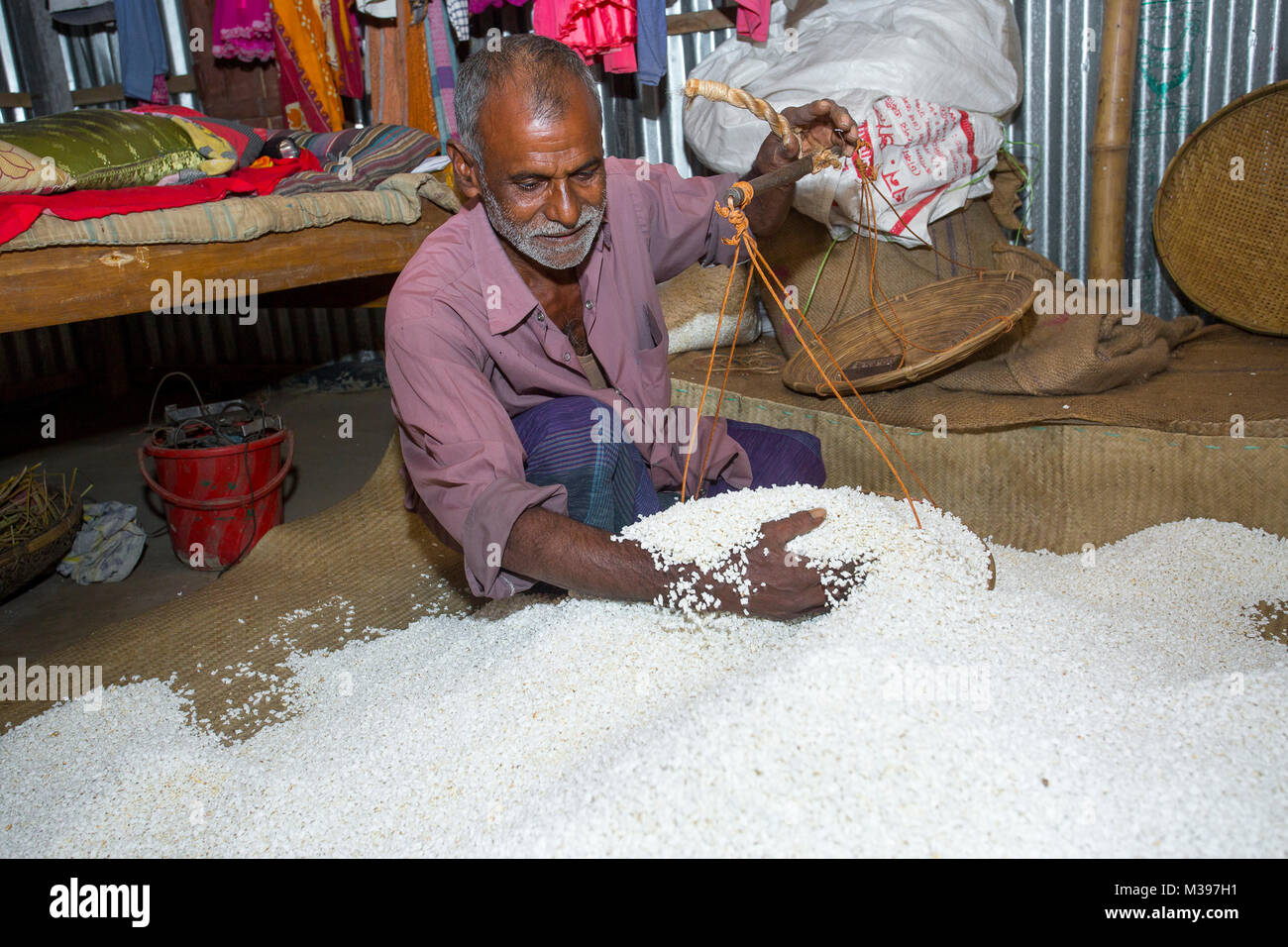 Asian business woman breakfast making hi-res stock photography and ...