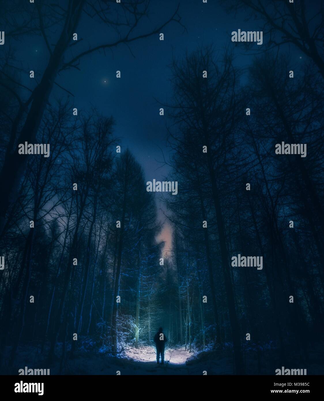 Flashlight forest hi-res stock photography and images - Alamy