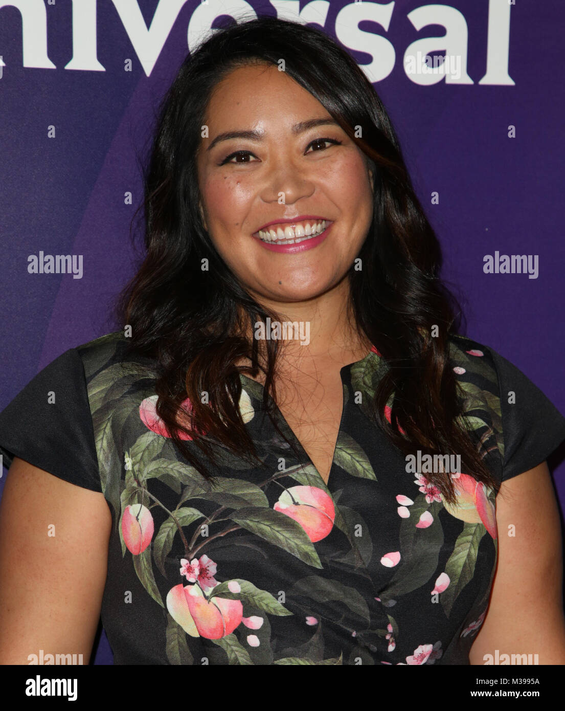 Celebrities attend 2018 NBC Universal TCA Winter Press Tour at the ...