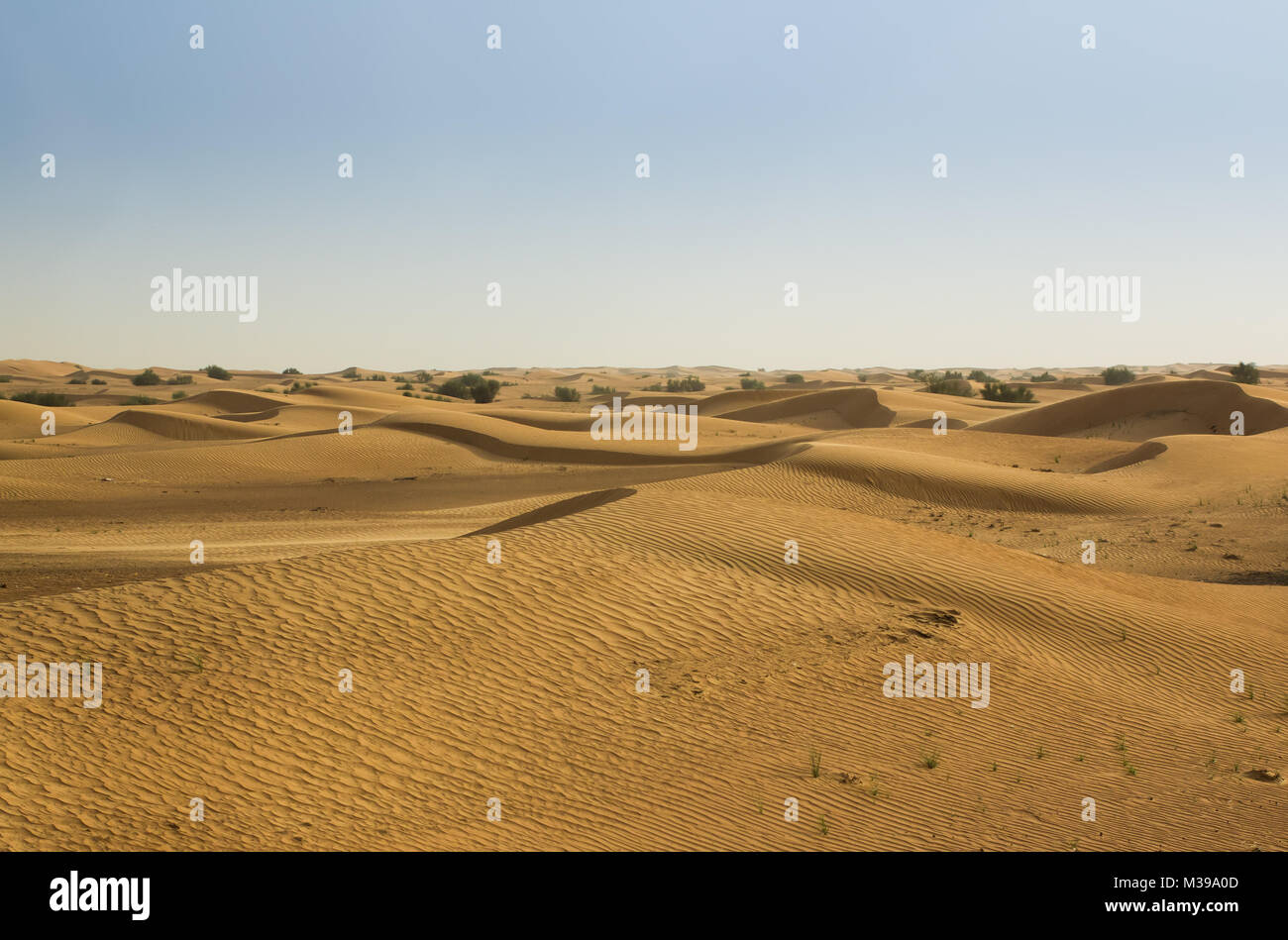 Dubai desert sand dunes Stock Photo - Alamy