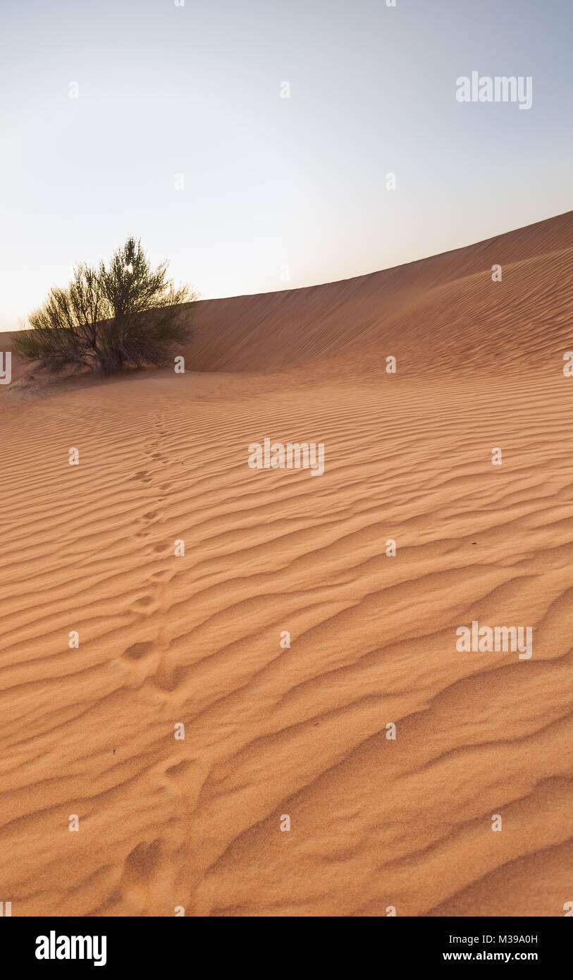 Dubai desert sand dunes Stock Photo - Alamy