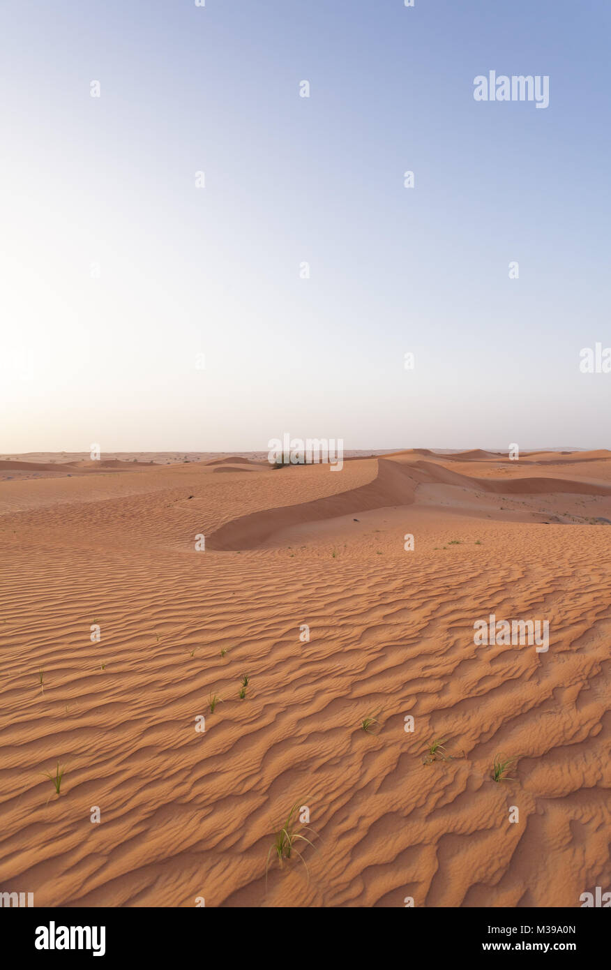 Dubai desert sand dunes Stock Photo - Alamy