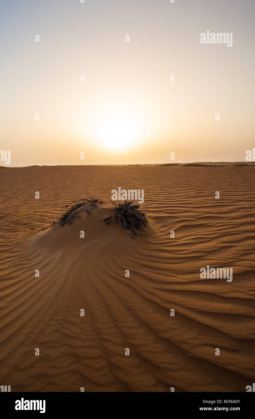 Dubai desert sand dunes Stock Photo - Alamy