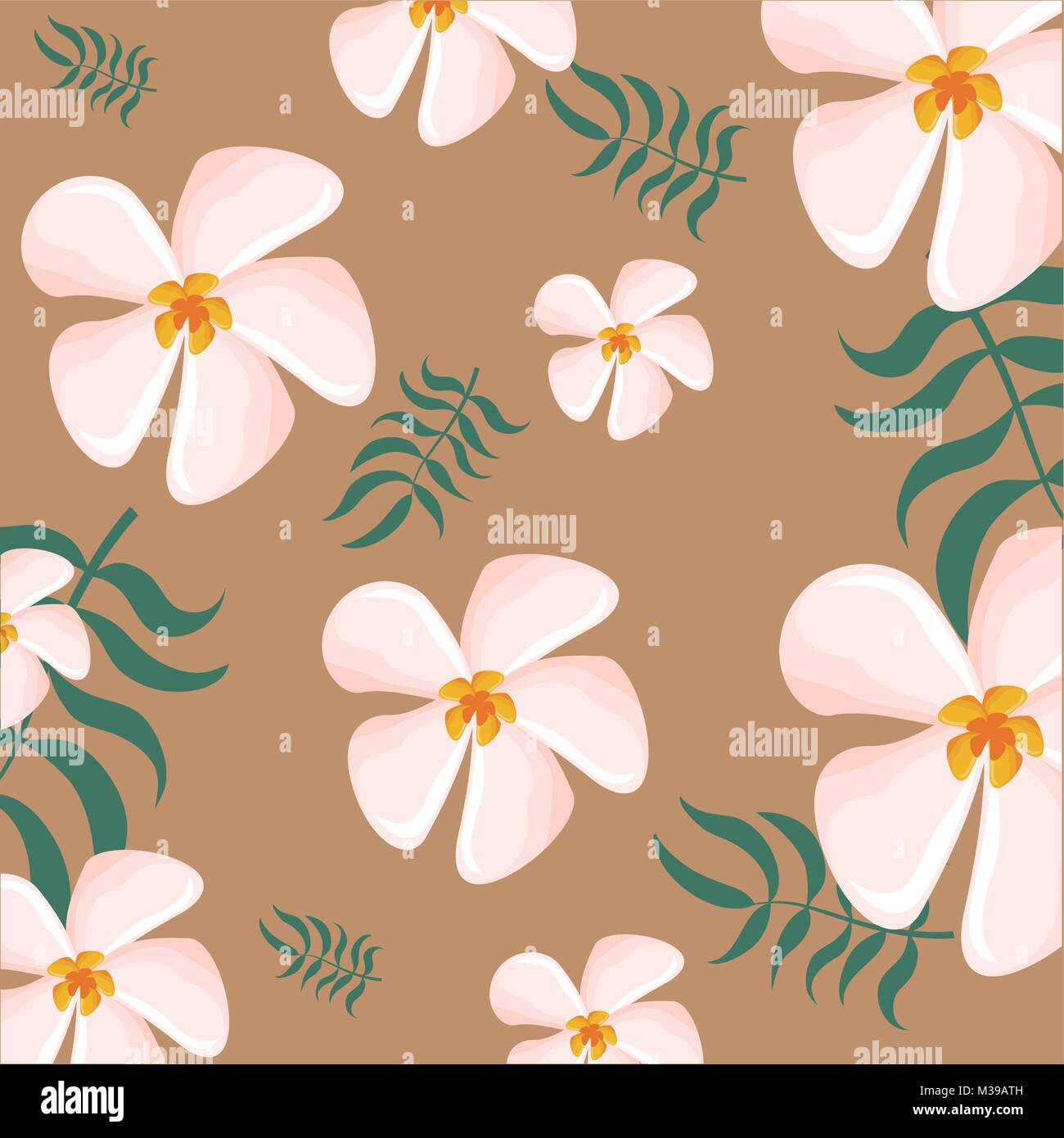 Tropical flowers design Stock Vector Image & Art - Alamy