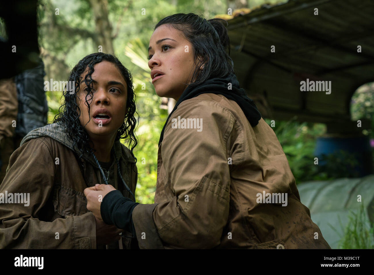 Anya thorensen hi-res stock photography and images - Alamy