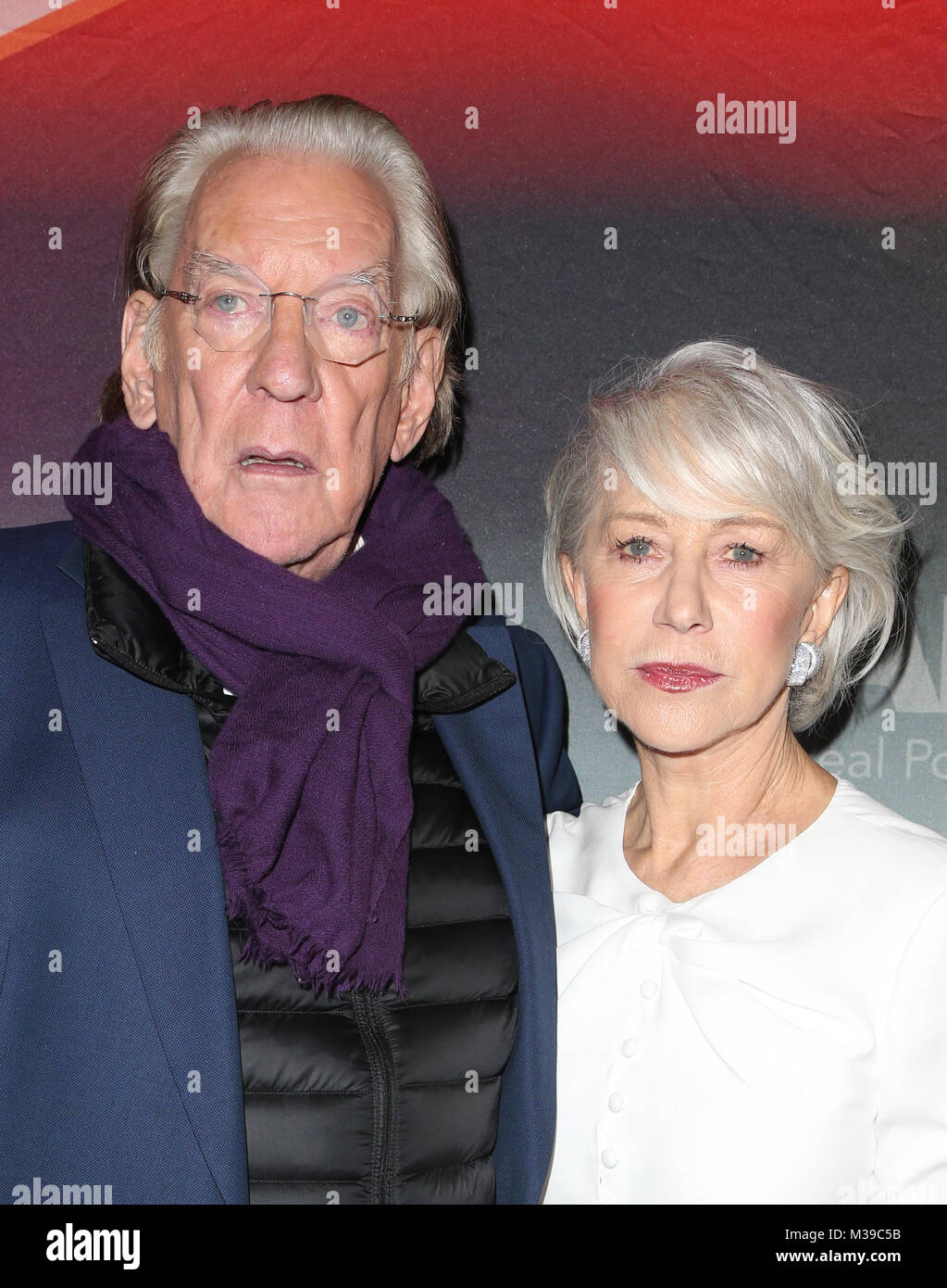 Premiere of Sony Pictures Classics' 'The Leisure Seeker' Featuring ...