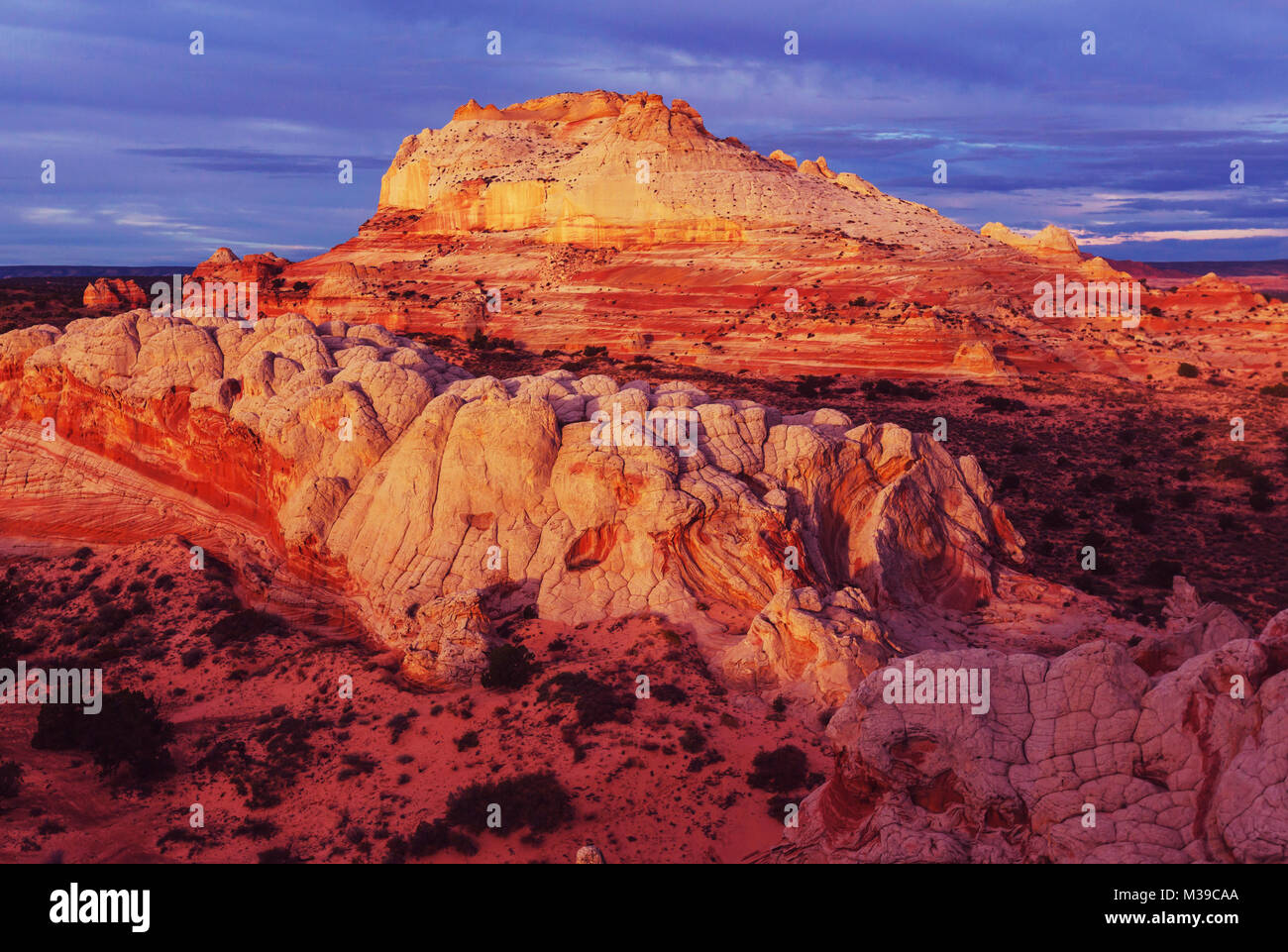 Vermilion cliffs national monument hi-res stock photography and images ...