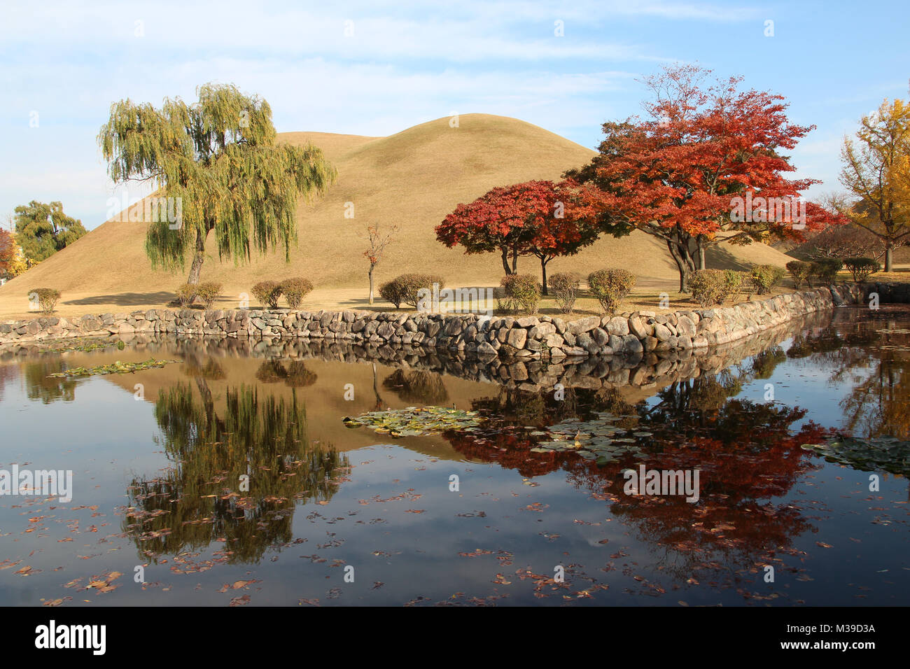 Autumn view of Daereungwon Royal Tomb park with the blue sky in ...