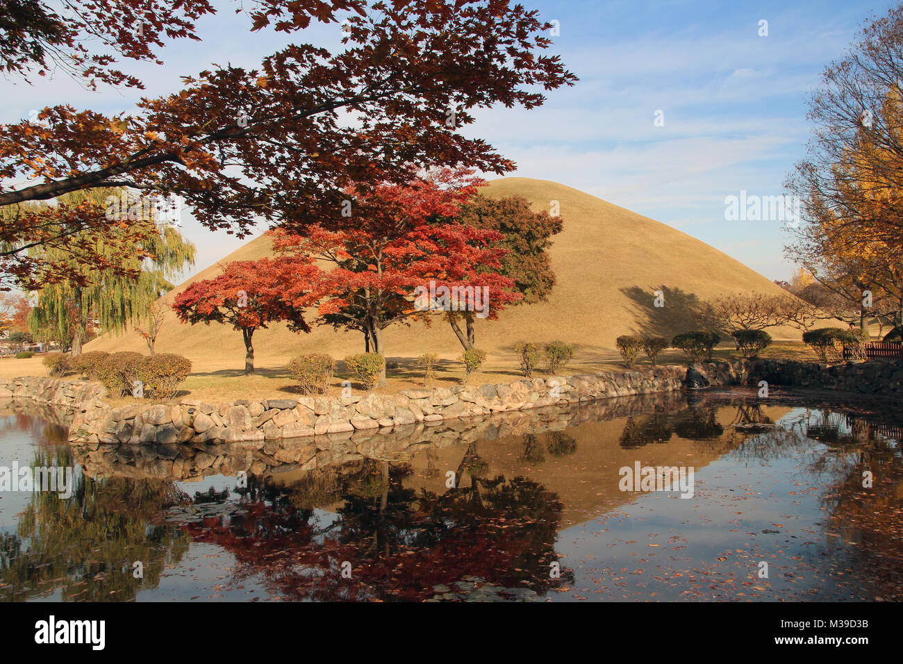 Autumn view of Daereungwon Royal Tomb park with the blue sky in ...