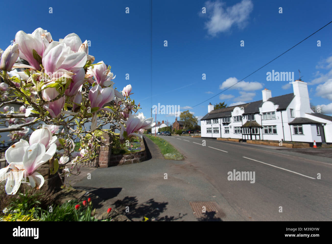 Village of Handley, England. Picturesque spring view of Handley’s main ...